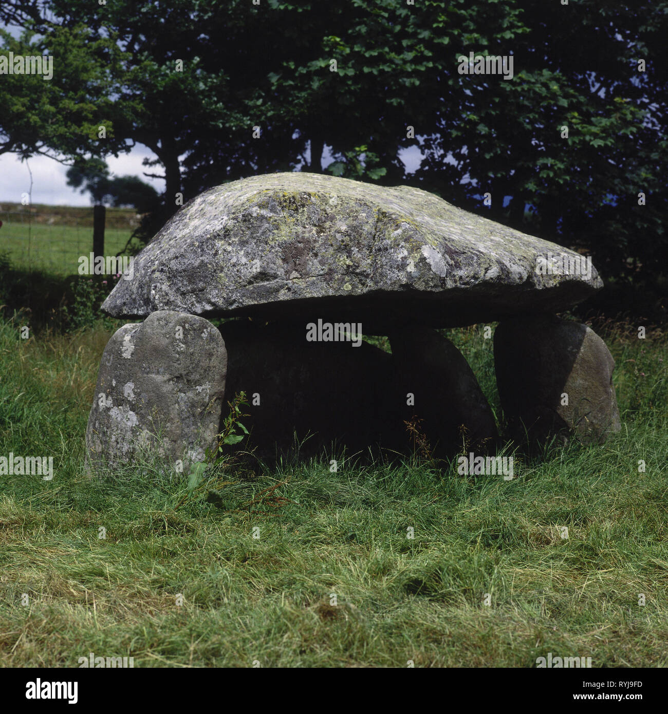 prehistory, prehistoric times, architecture, dolmen, megalithic tomb of ...