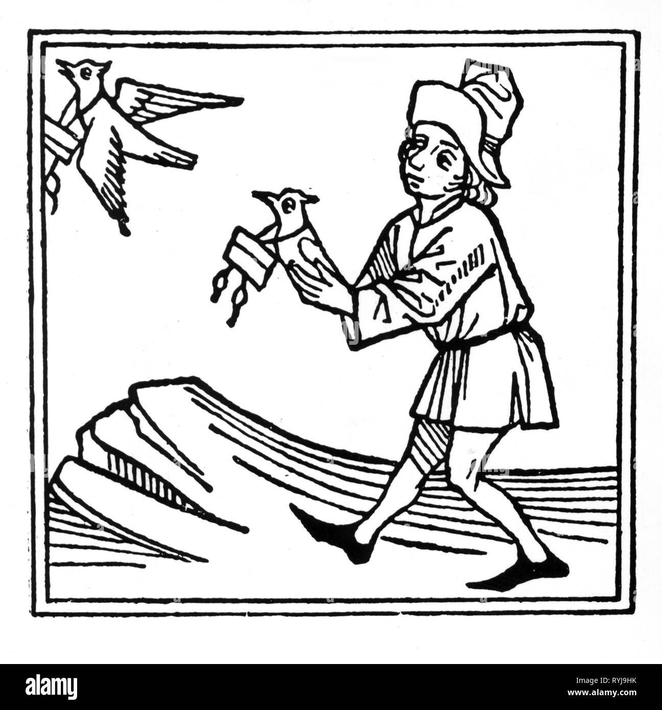 mail, carrier pigeon, dispatch of letters with carrier pigeons, "The ...