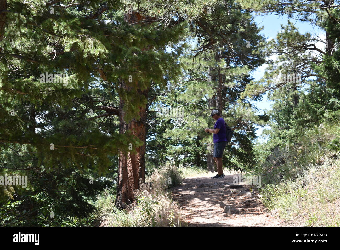 Man on a trail in Colorado Stock Photo - Alamy