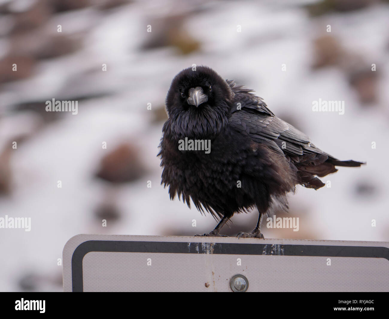 Arizona parks and monuments hi-res stock photography and images - Alamy