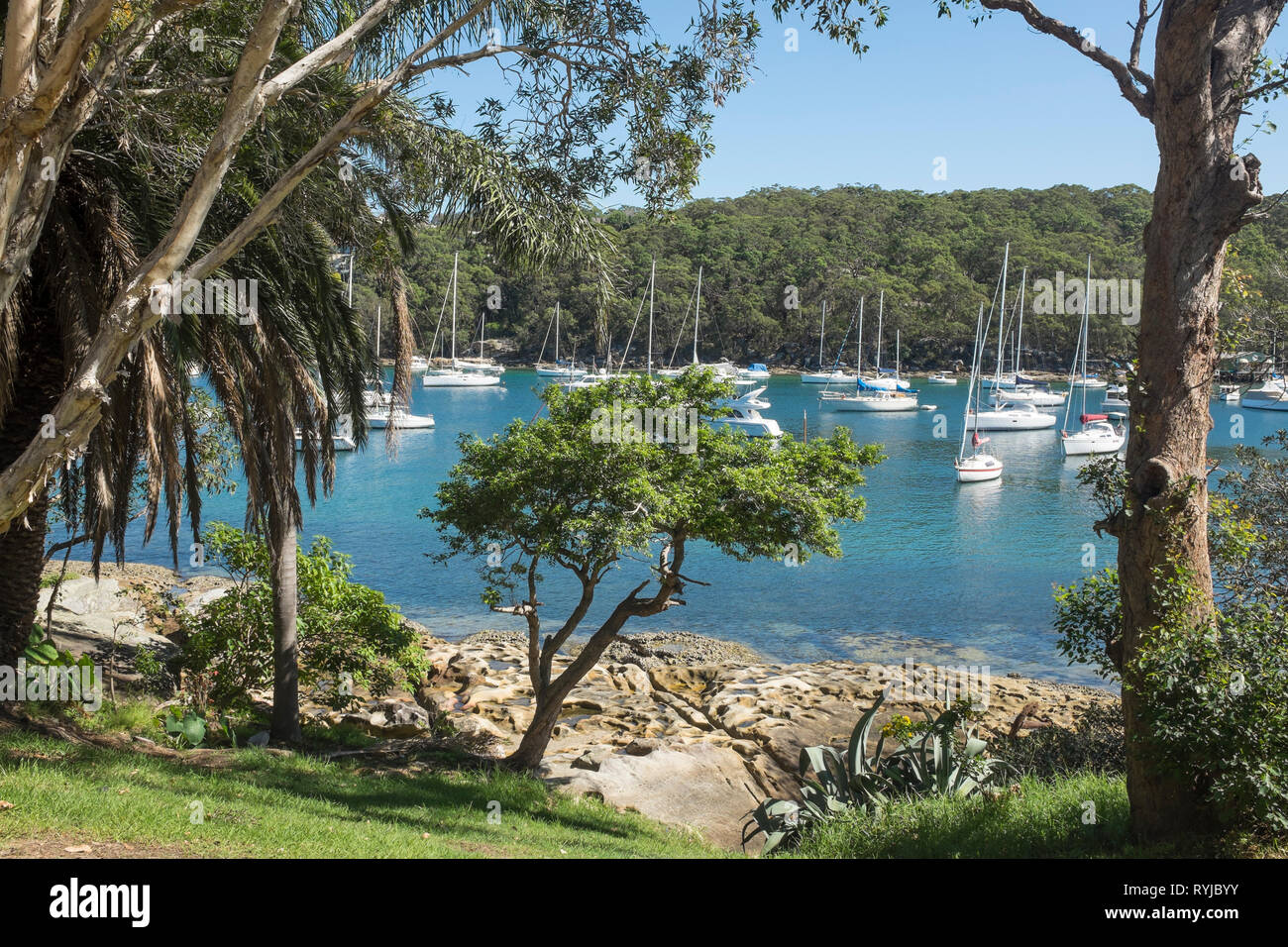Sydney australia manly scenic walkway hi-res stock photography and ...