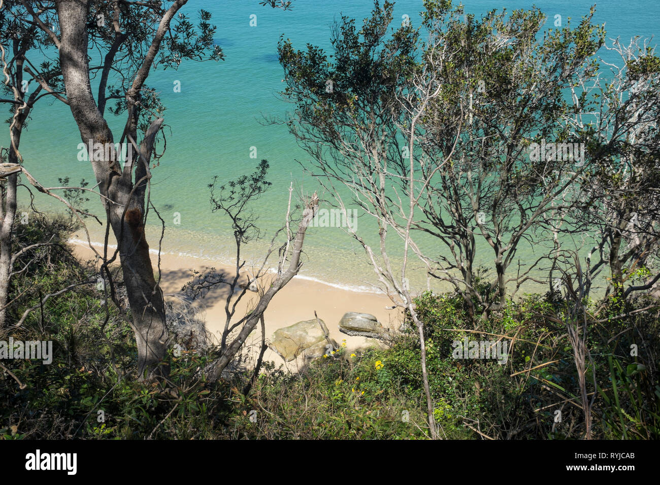 Spit to Manly walk, Sydney, NSW, Australia Stock Photo - Alamy