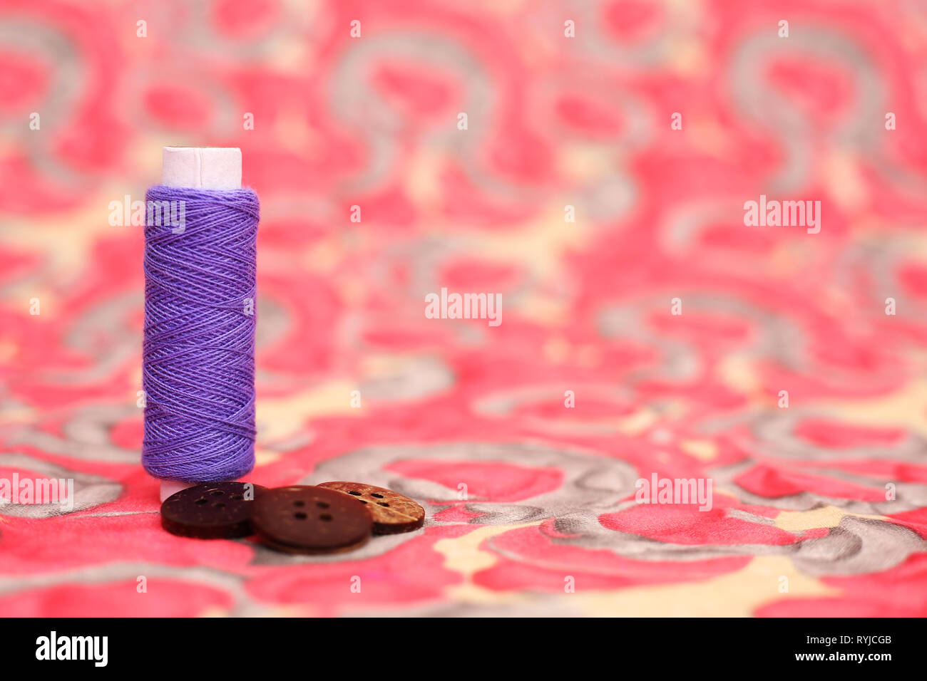Portrait of purple sewing thread and four button. Isolated on the ...