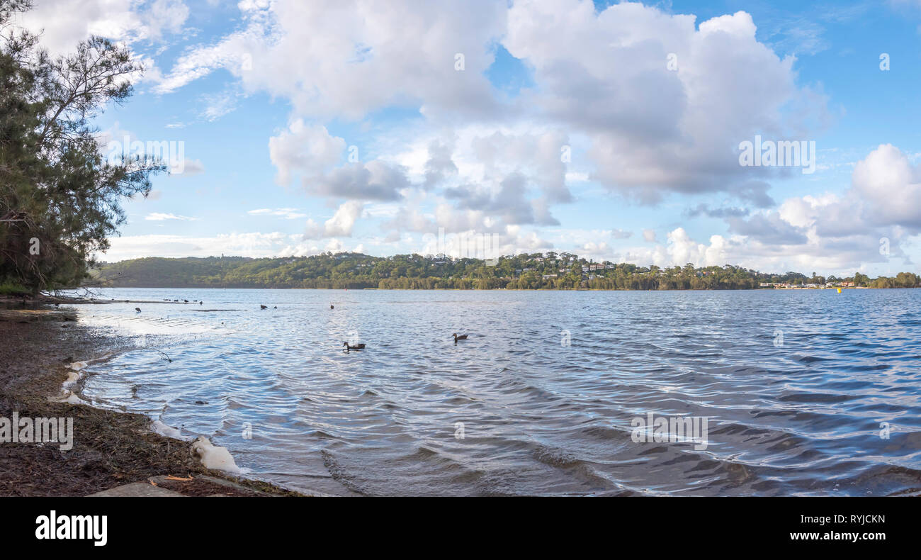 The south western shore of Narrabeen lagoon on the northern beaches of ...
