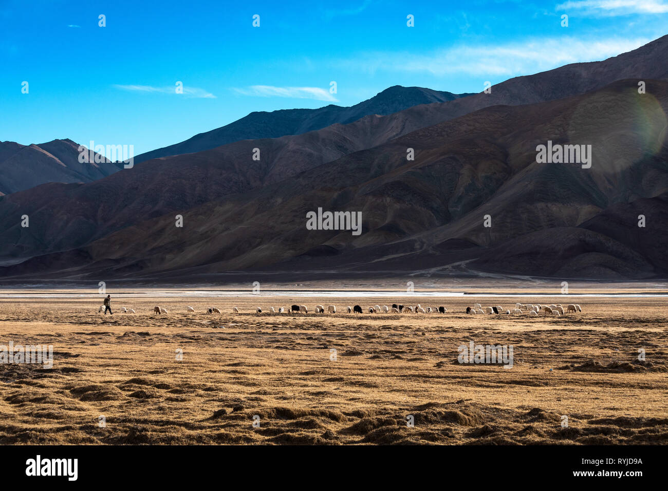 Lamayuru village ladakh hi-res stock photography and images - Alamy