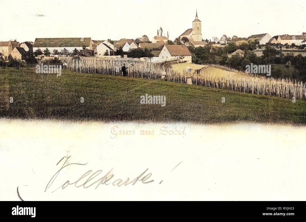 Churches in Diera-Zehren, Agriculture in Landkreis Meißen, Vineyards of ...