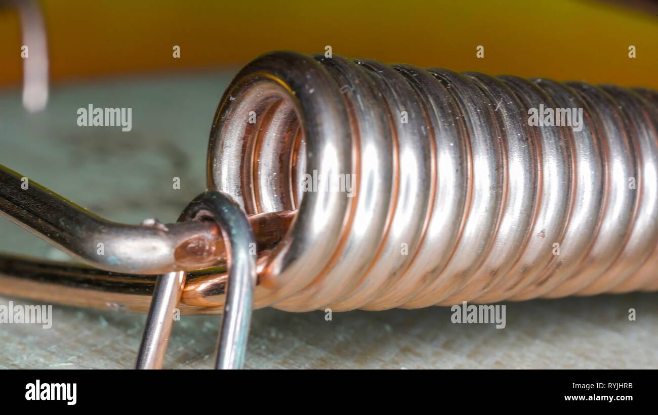 The rolls of silver coils on a macro shot of the mouse trap used to ...