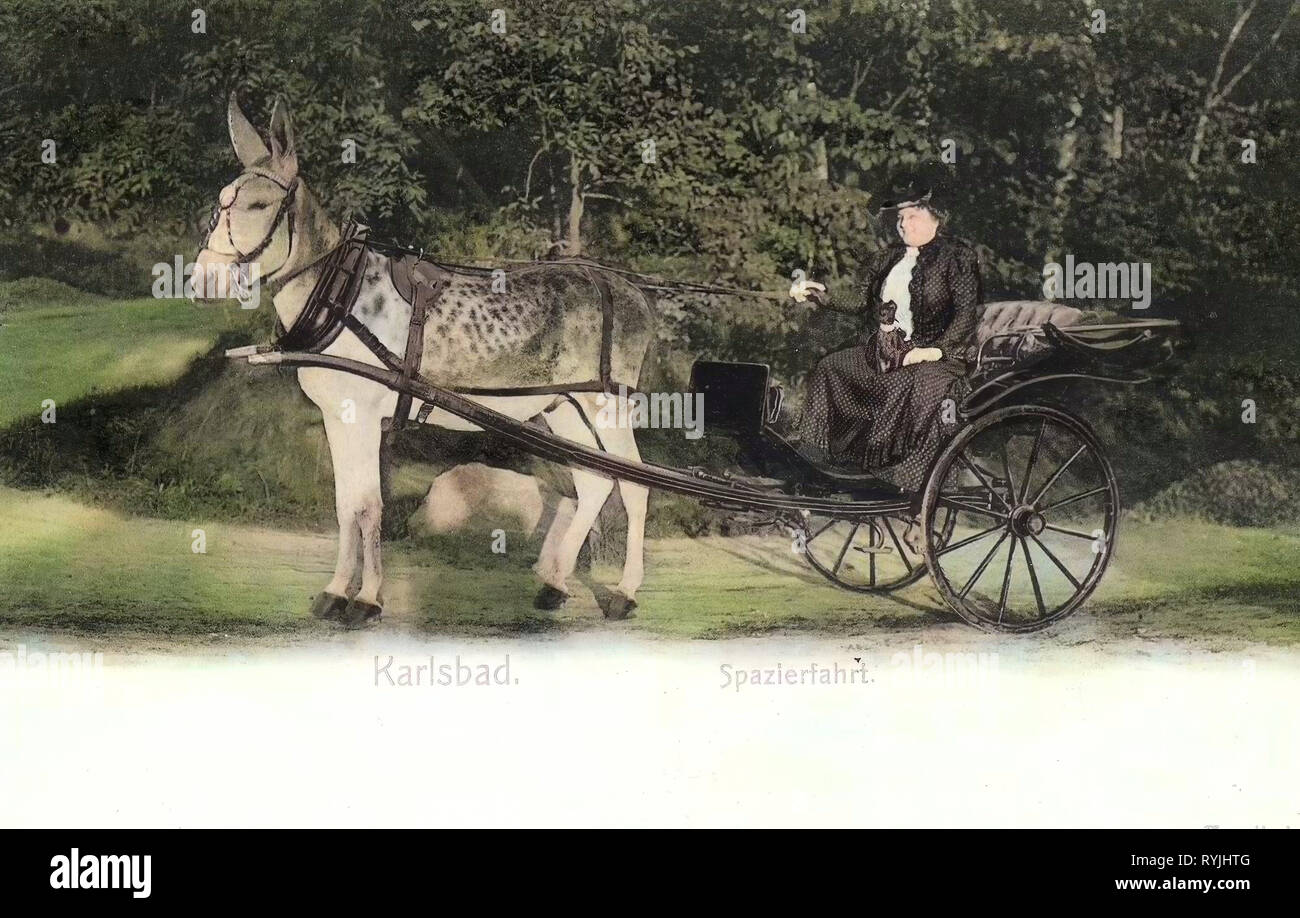 Donkey drawn carts hi-res stock photography and images - Alamy