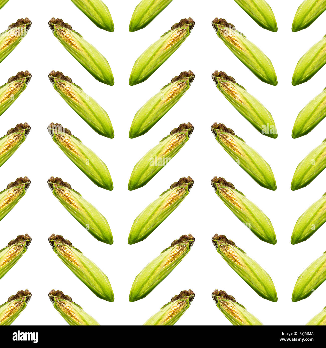 Raster seamless pattern. An ear of corn on a white background. Site ...