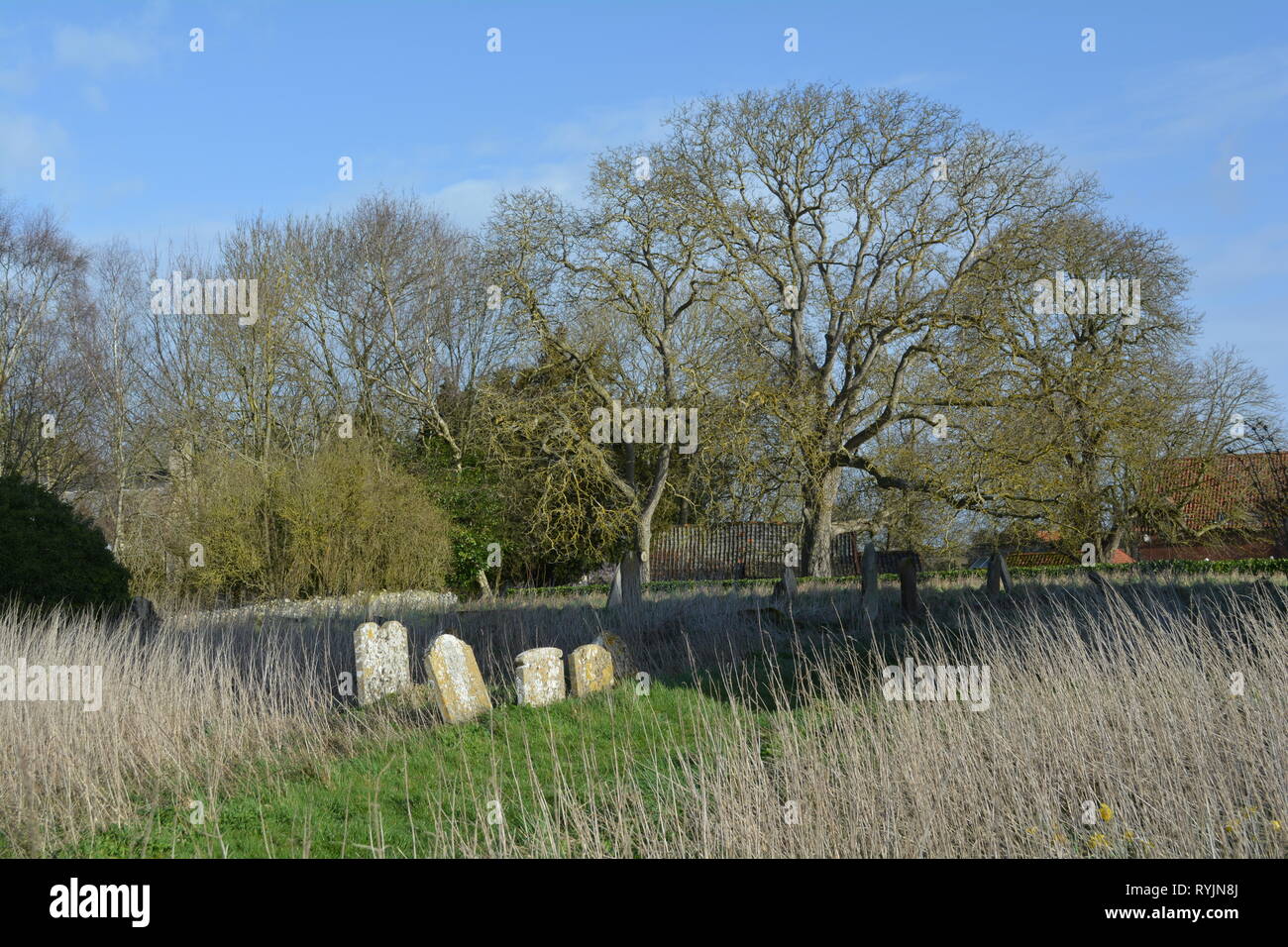 The thatched church hi-res stock photography and images - Alamy