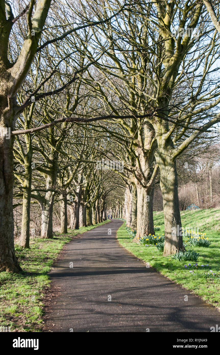 Around the UK - A view alongside the River in Avenham Park, Preston ...