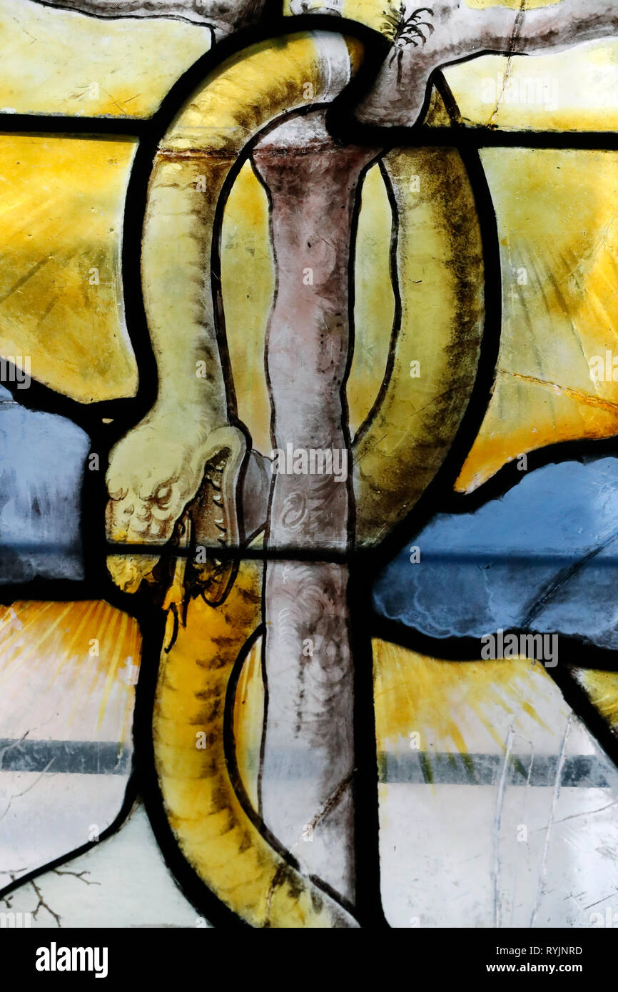Stained glass snake hi-res stock photography and images - Alamy