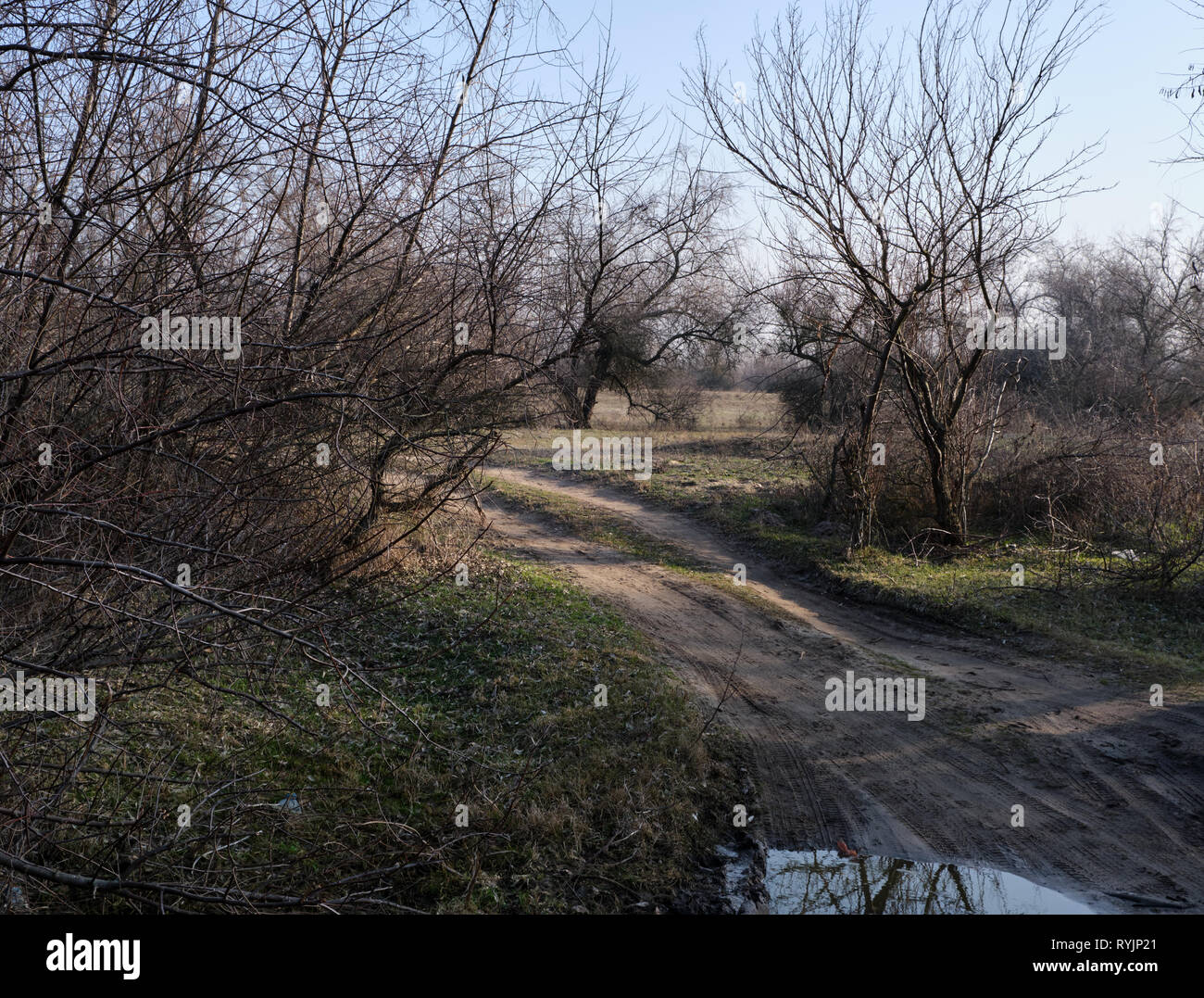 road in the middle of the steppe, day, Ukraine Stock Photo - Alamy
