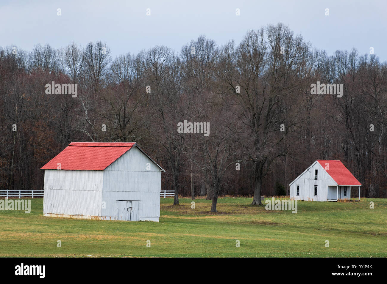 White barn with red roof on overcast day in early Springtime, farm in ...