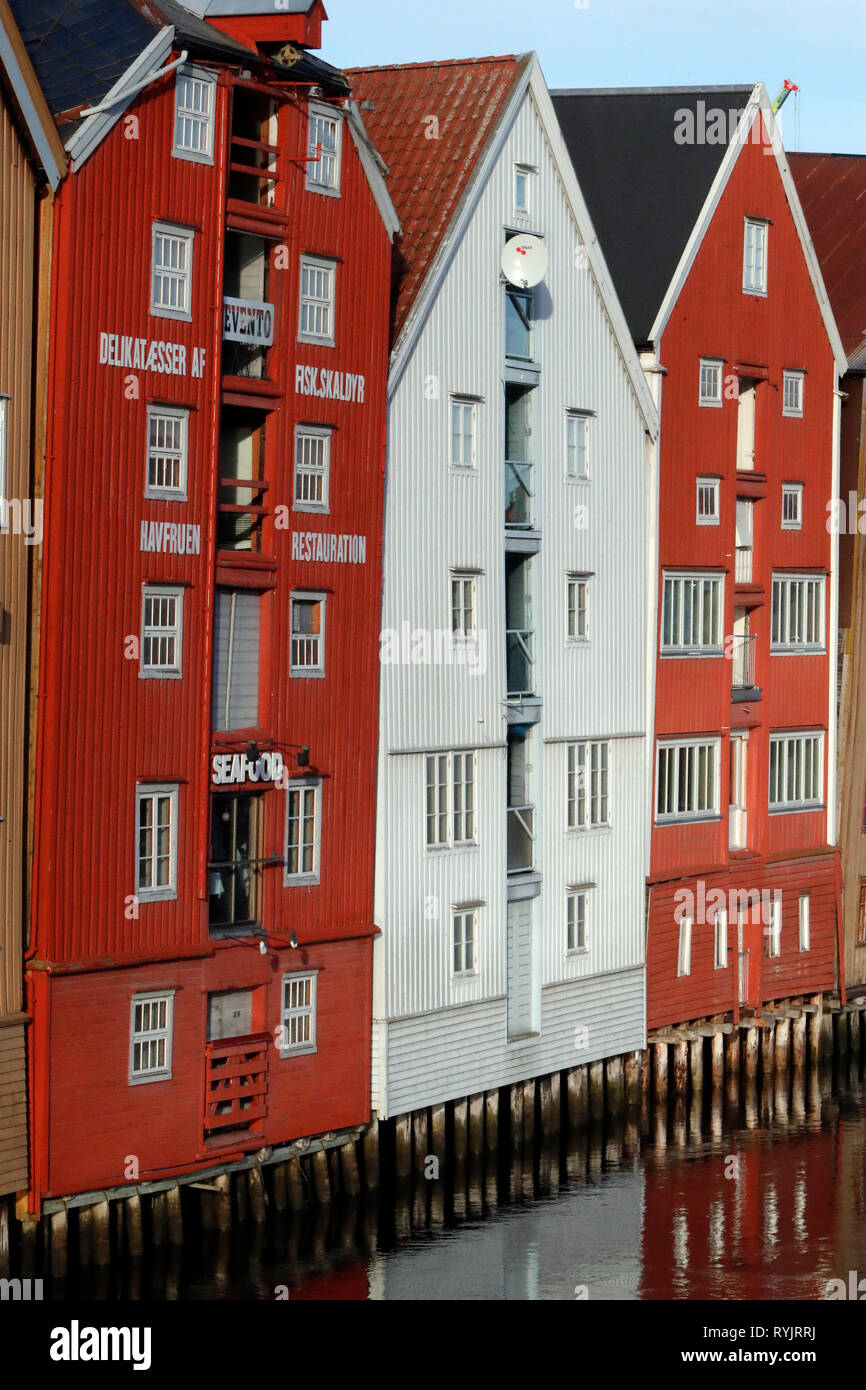 Restored habitat hi-res stock photography and images - Alamy