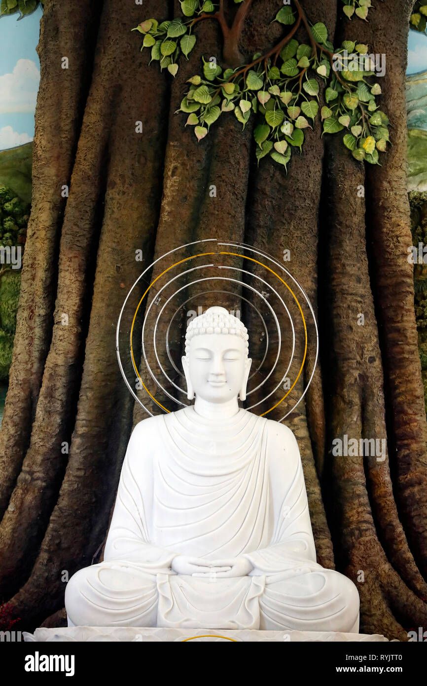 Gautama buddha bodhi tree hi-res stock photography and images - Alamy