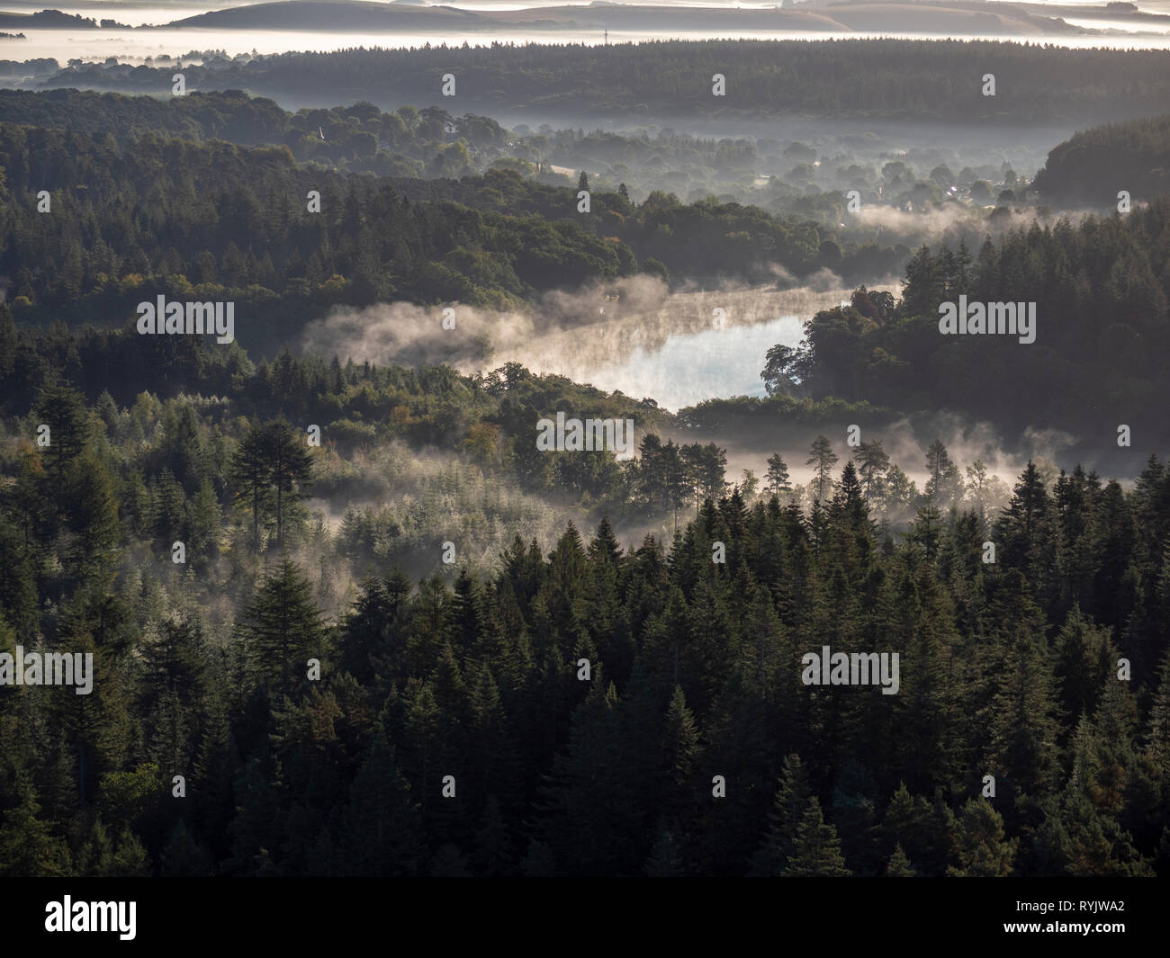 Longleat forest hi-res stock photography and images - Alamy
