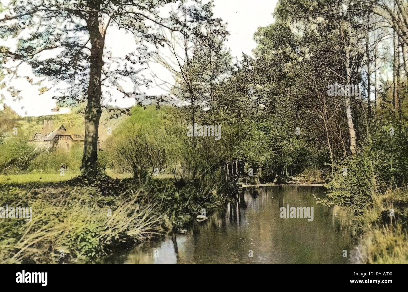 Lockwitzbach (river), 1911, Dresden, Lockwitz, Partie an der Lockwitz ...