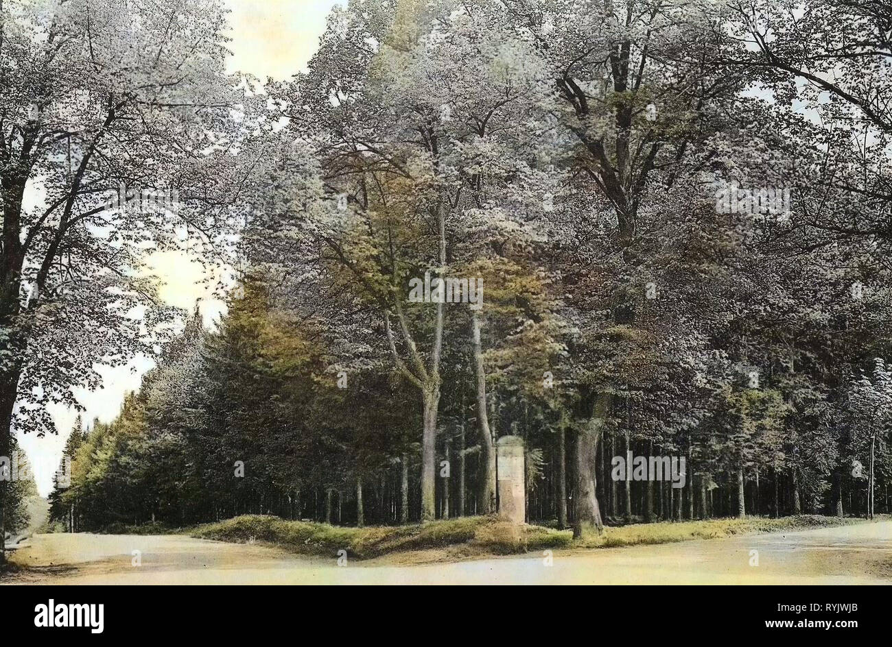 Kreuzung der freiberger hi-res stock photography and images - Alamy