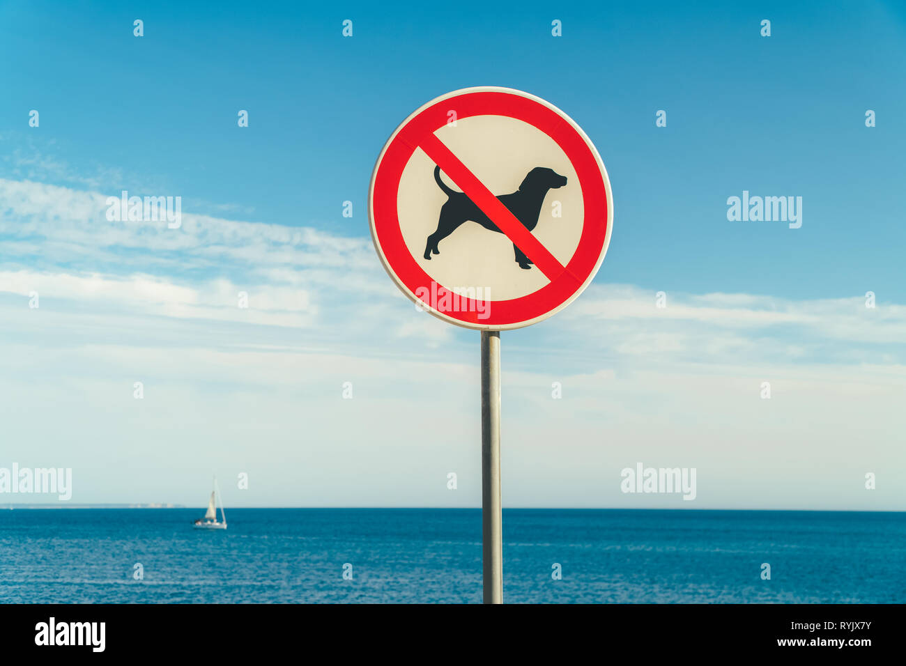 No entry for dogs hi-res stock photography and images - Alamy