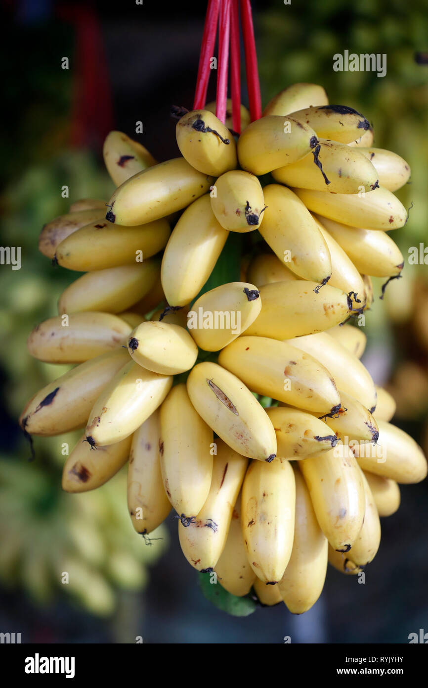 Traditional fruits hi-res stock photography and images - Alamy