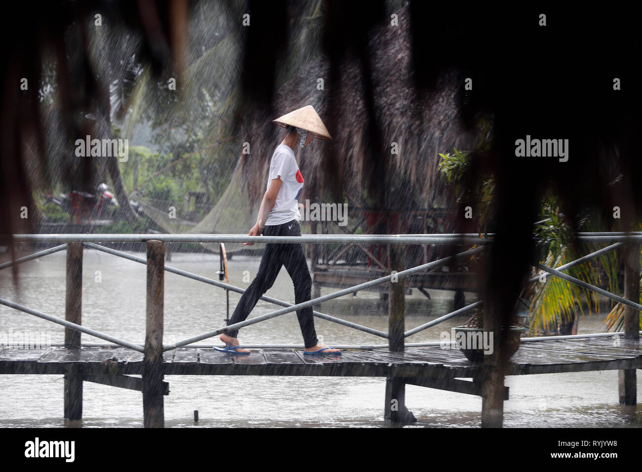 Rainy season. Vietnamese woman with conical hat under heavy rain. Can ...