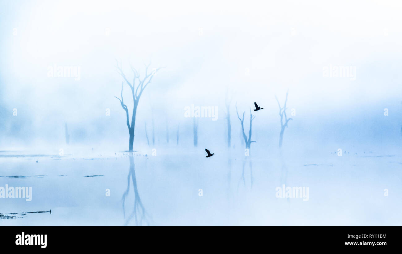 Mist on water hi-res stock photography and images - Alamy