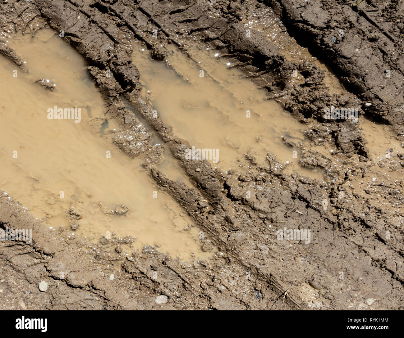 Texture of mud. Wet dirt. Puddle Stock Photo - Alamy