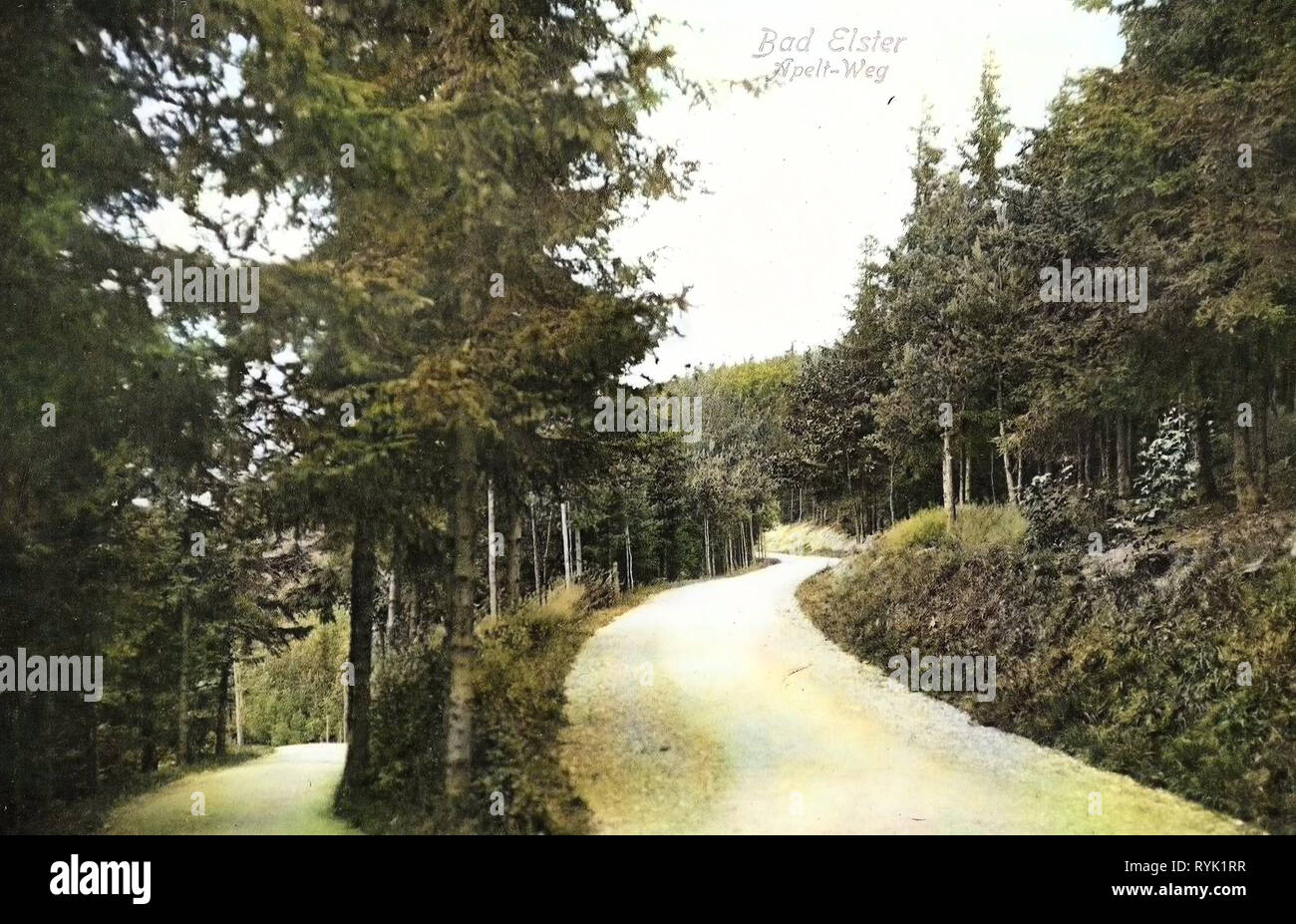Forests in Saxony, 1913, Vogtlandkreis, Bad Elster, Apeltweg, Germany ...