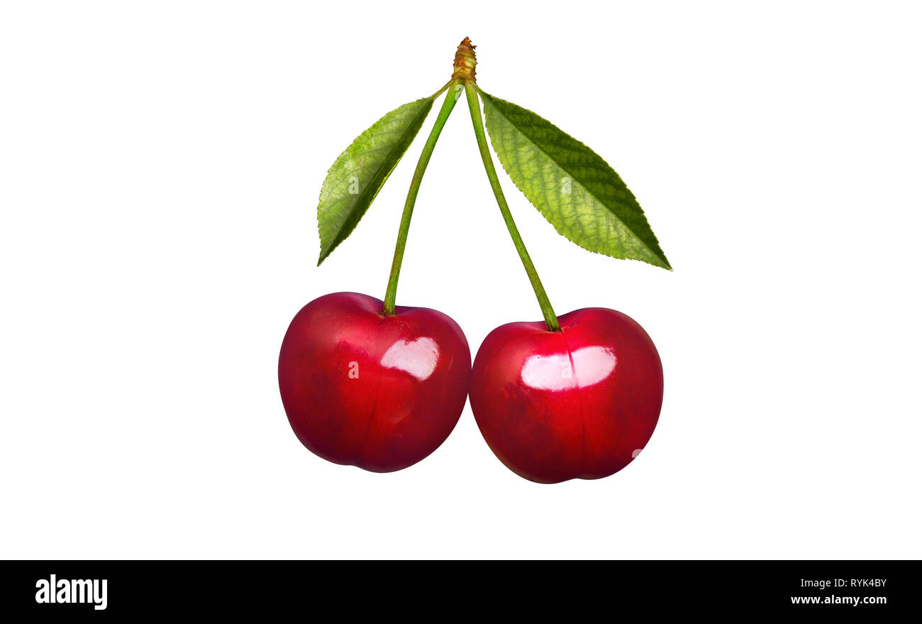 Fresh double cherry with green leaves isolated on a white background ...