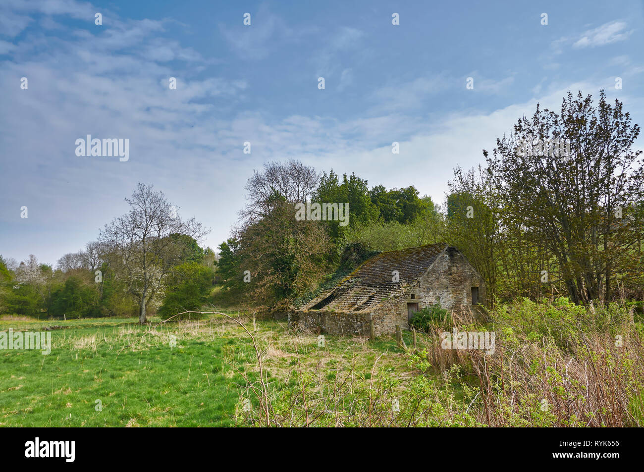 A derelict Stone Cottage sits in its pasture in a small valley near to ...