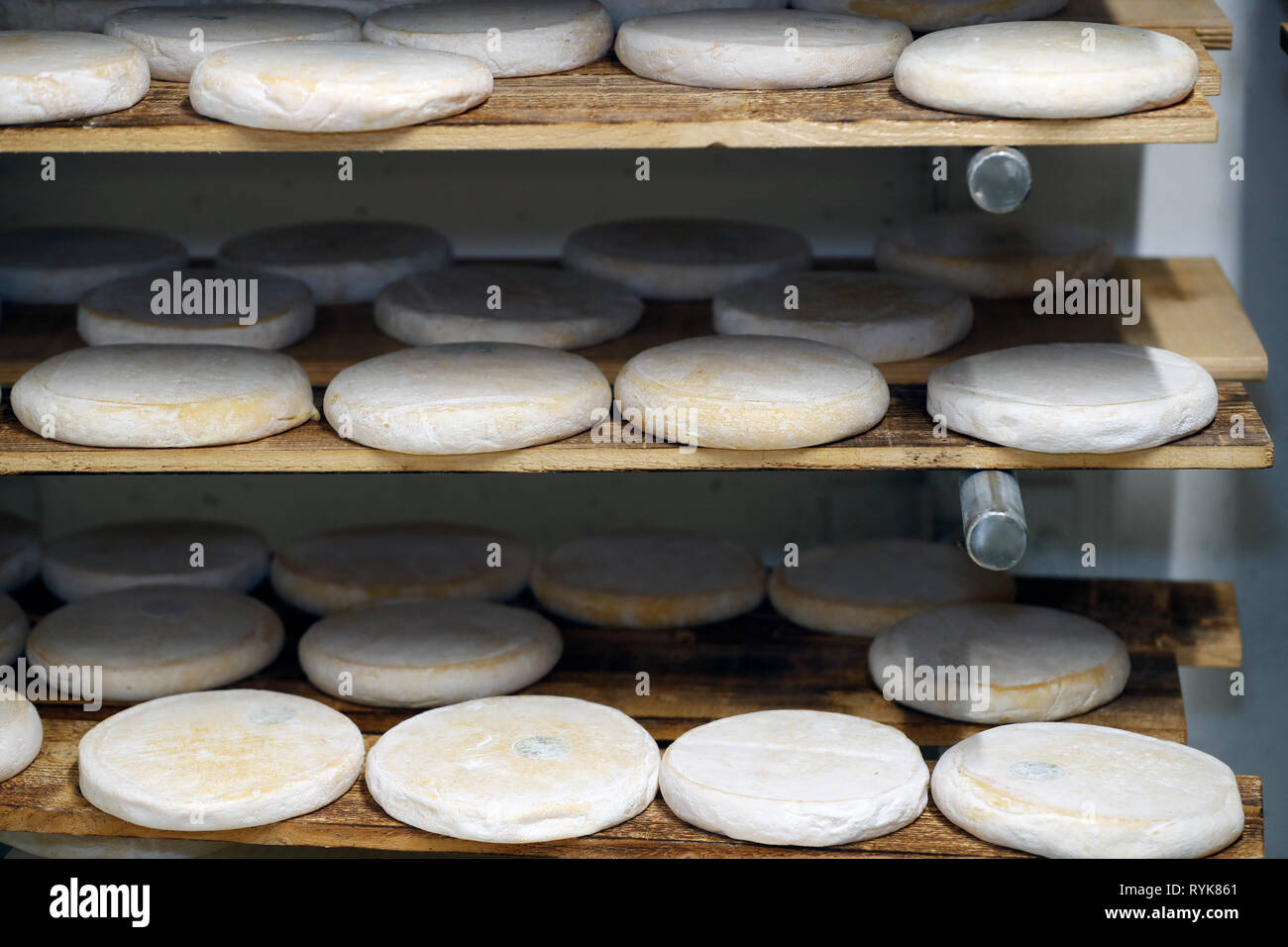 Traditional cheese factory. Reblochon, French Cheese from Savoie ...