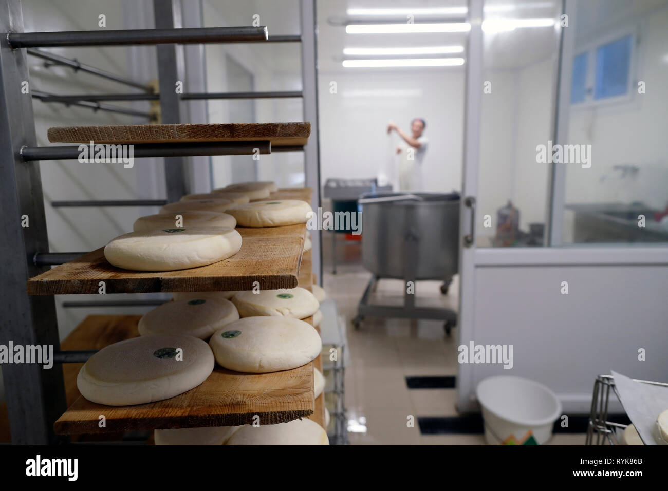 Traditional cheese factory. Reblochon, French Cheese from Savoie ...