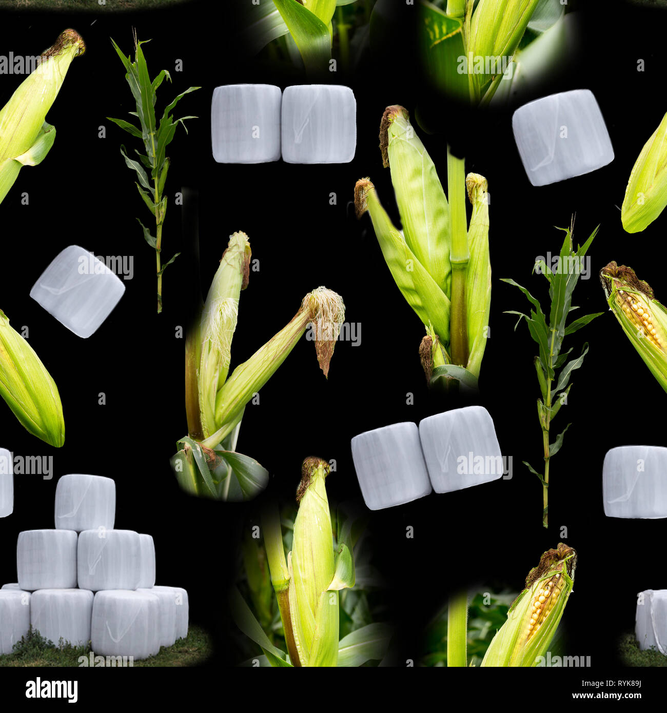 Raster seamless pattern. Corn from which they make silage for livestock ...
