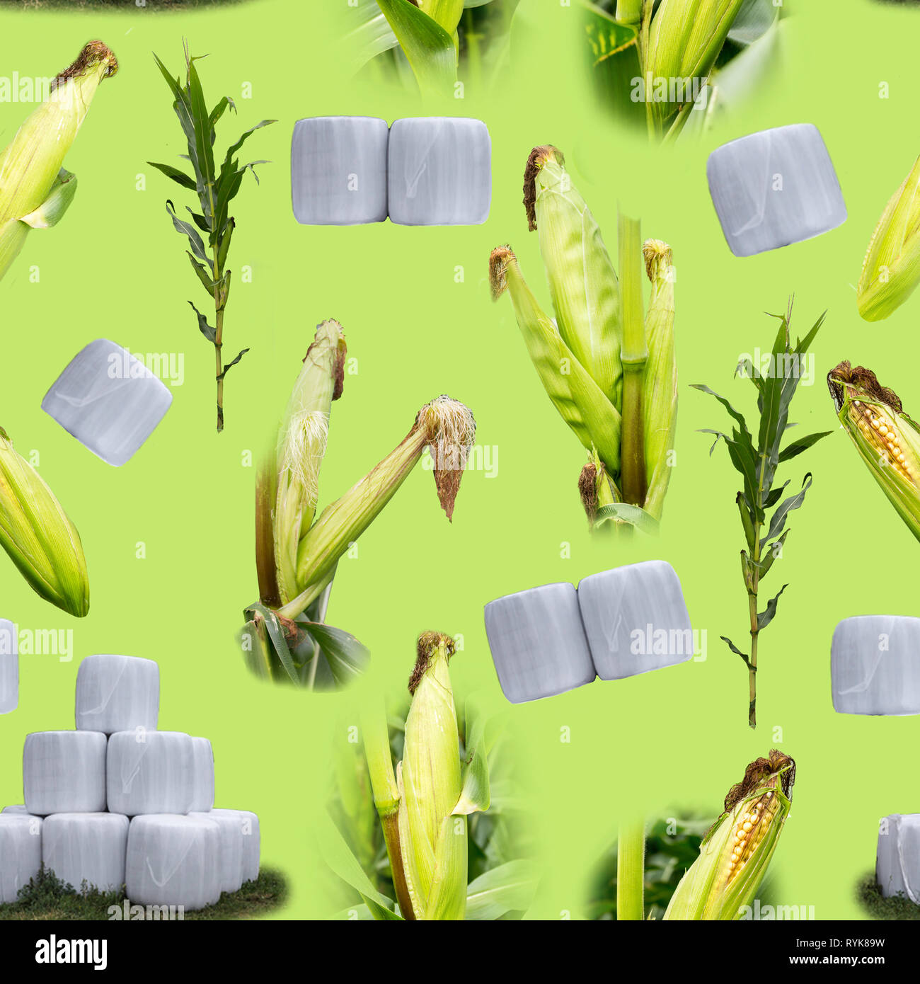 Raster seamless pattern. Corn from which they make silage for livestock ...