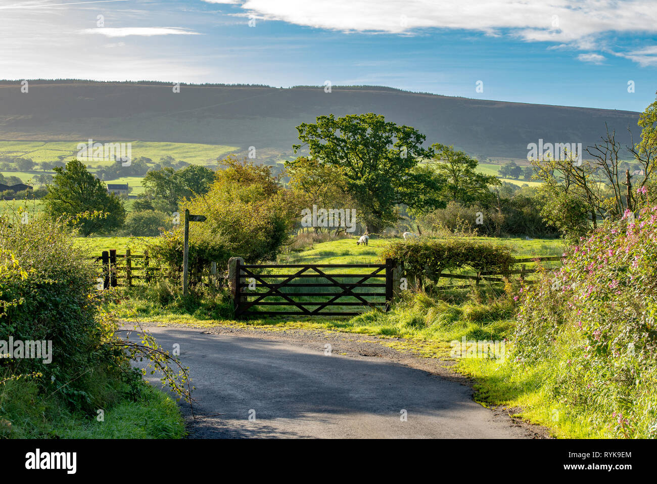 Longridge lancashire hi-res stock photography and images - Alamy