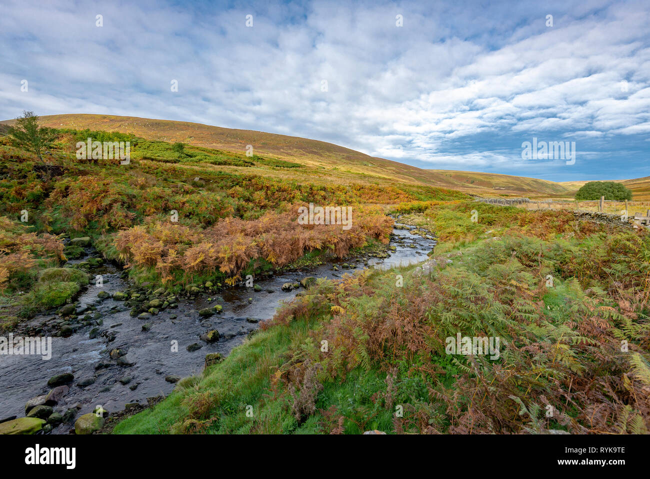 River hodder hi-res stock photography and images - Alamy