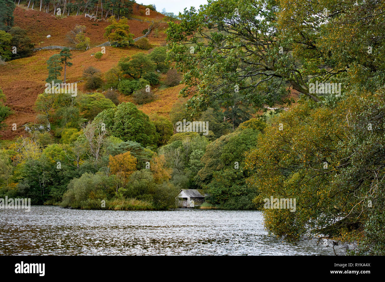Autumn rydal water lake district hi-res stock photography and images ...