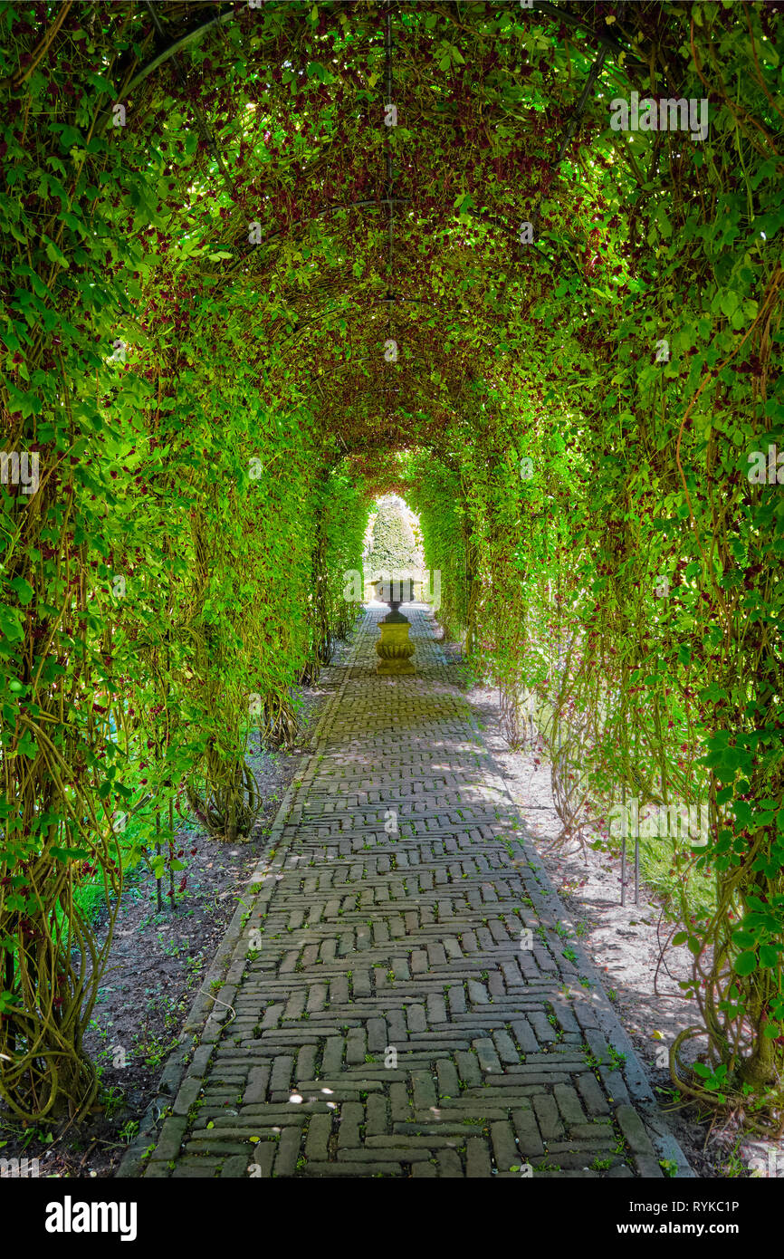 Green berceau arbour overgrown garden path Stock Photo - Alamy