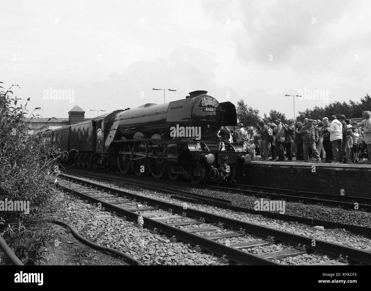 The Flying Scotsman Steam Train on its North Wales coastal tour Stock ...