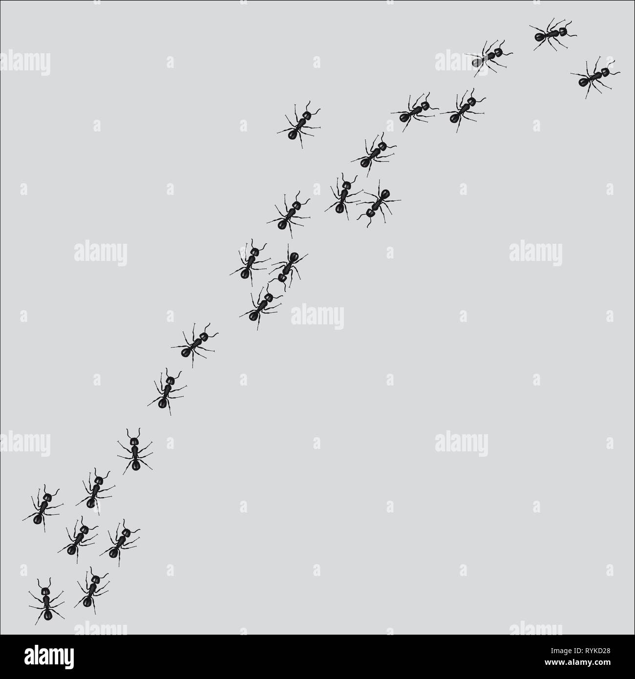 A line of worker ants marching in search of food. Vector illustration ...