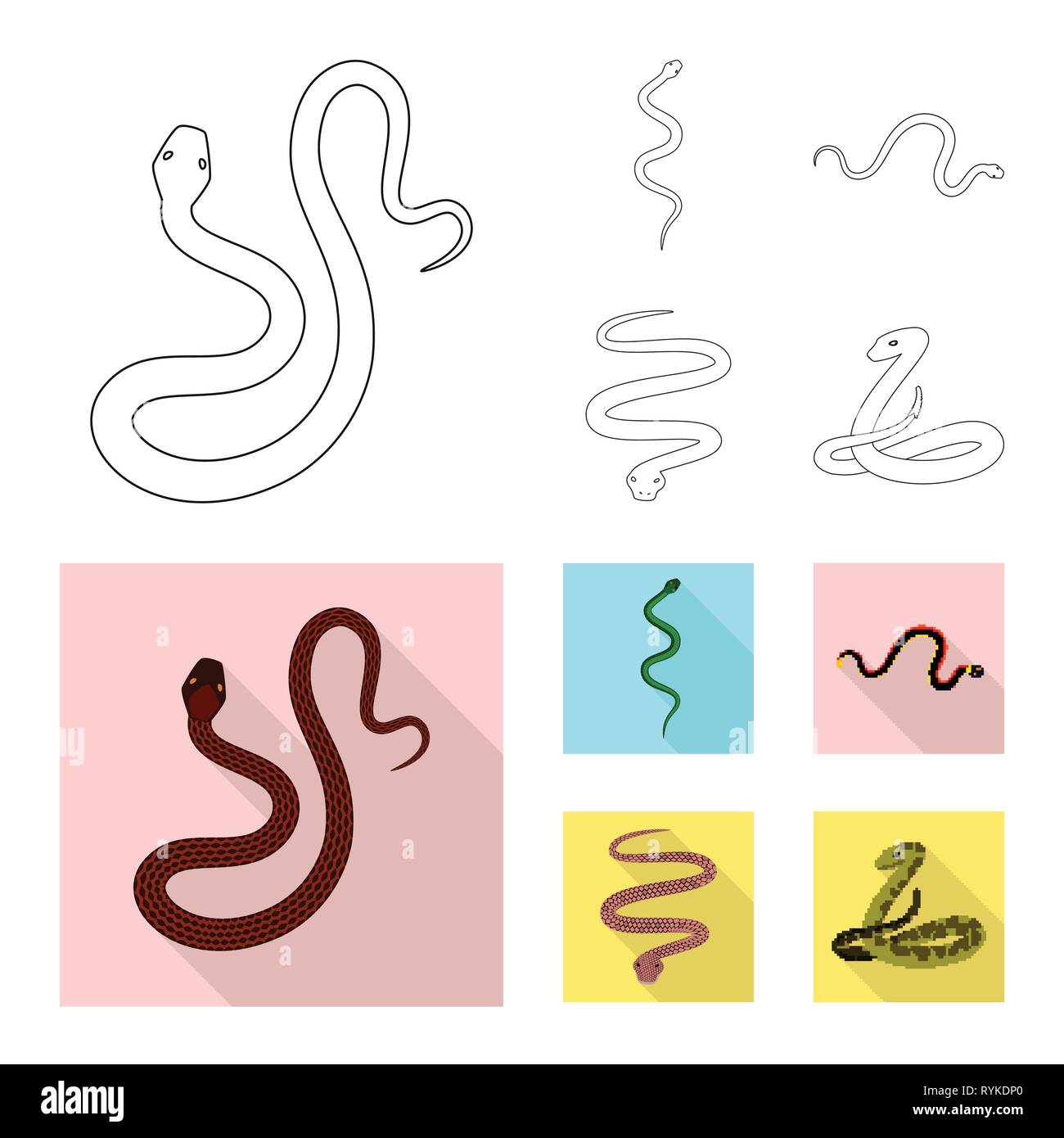 snake,viper,animal,tail,cobra,python,spiral,pink,black,forest,creeping ...