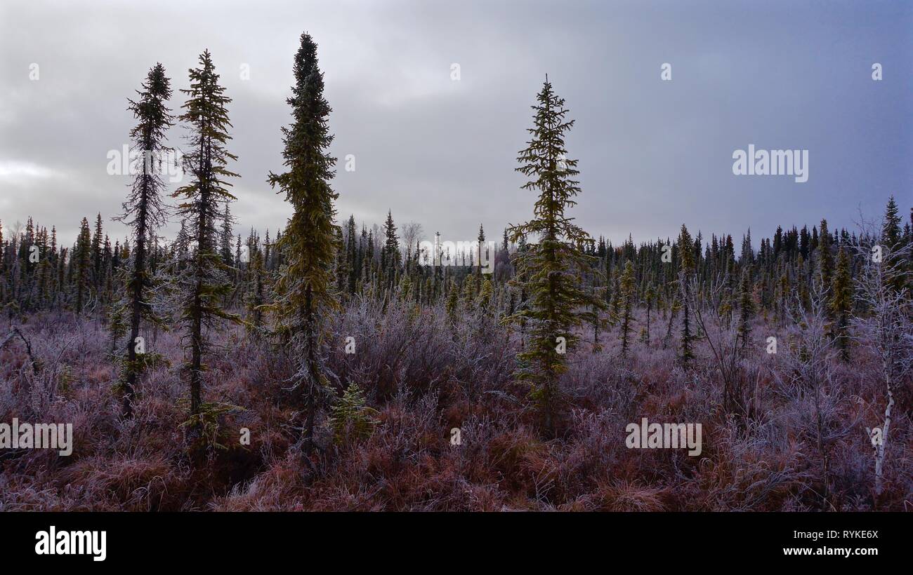 Interior of alaska hi-res stock photography and images - Alamy