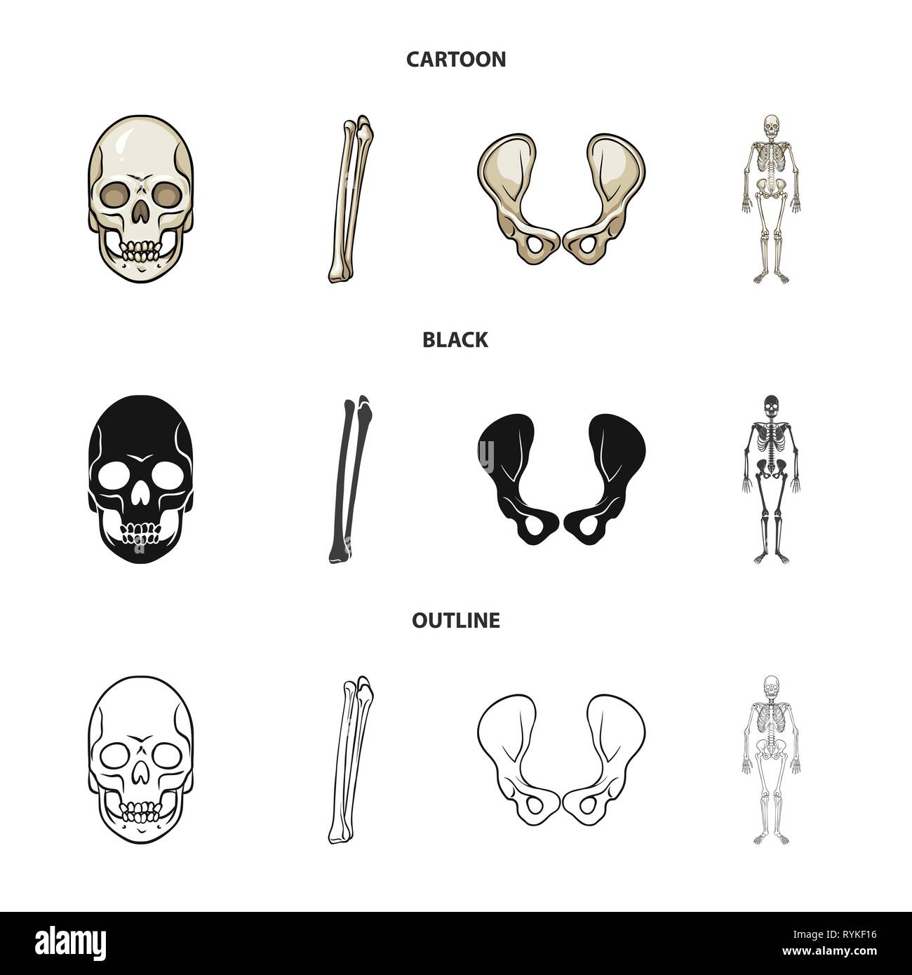skull,femur,hip,musculoskeletal,death,joint,scientific,monster,leg ...