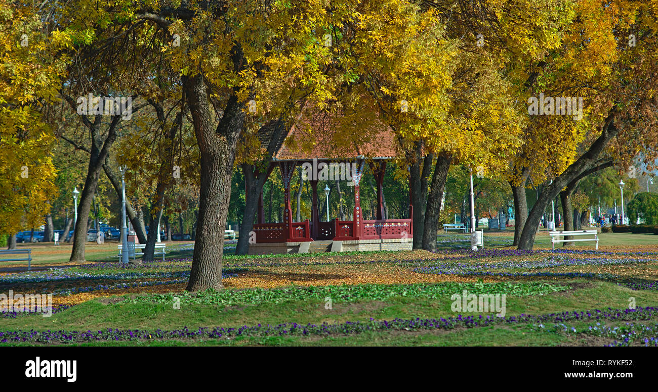 Open shed hi-res stock photography and images - Alamy