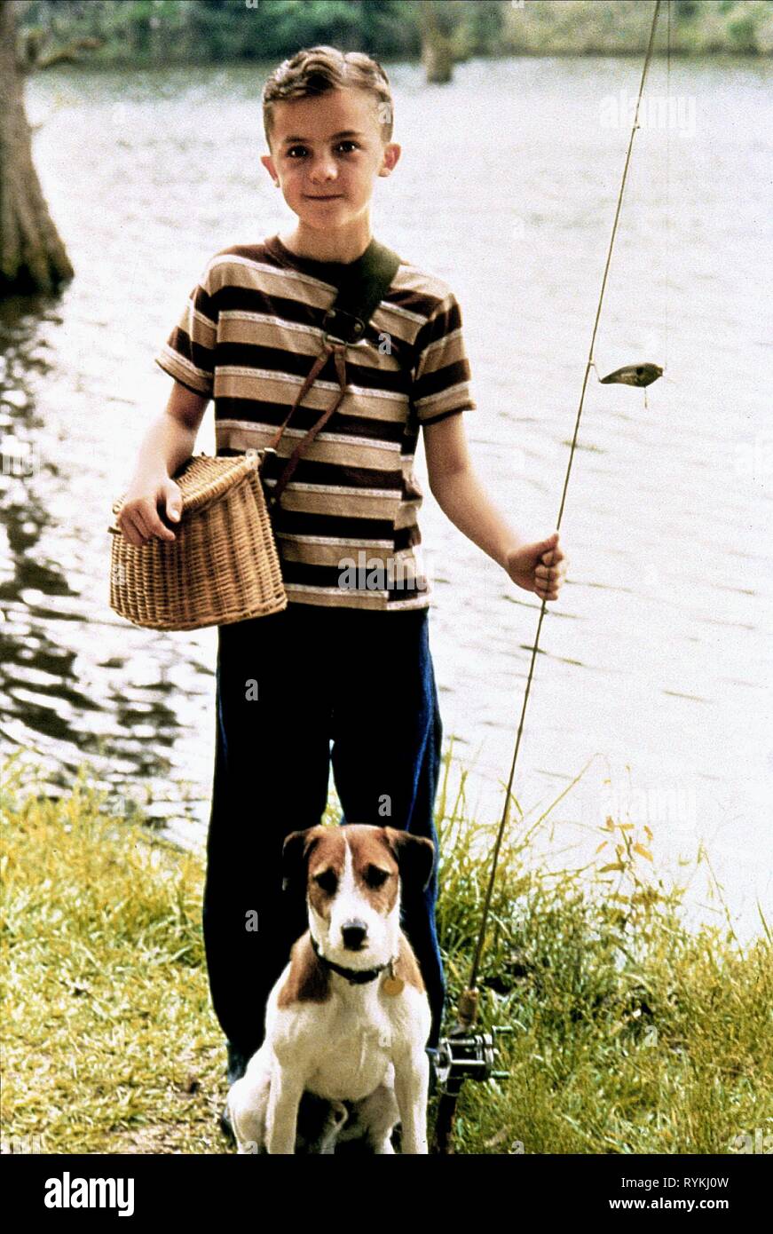 My Dog Skip High Resolution Stock Photography and Images - Alamy