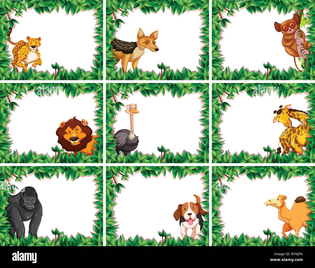 Set of animal frame illustration Stock Vector Image & Art - Alamy