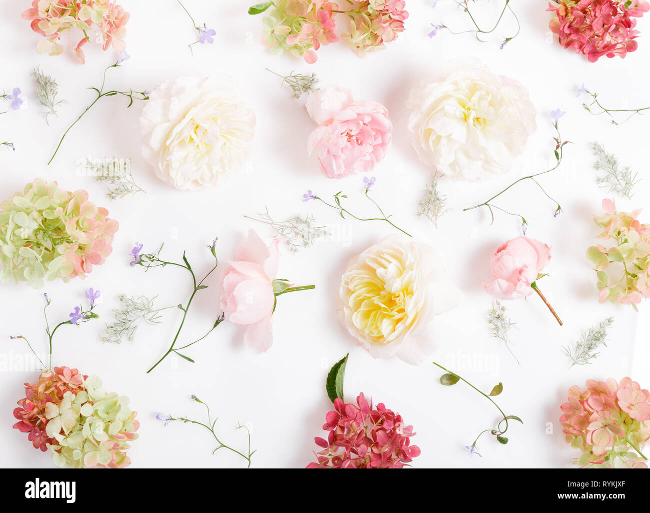 Festive flower composition on the white background. Overhead view Stock ...