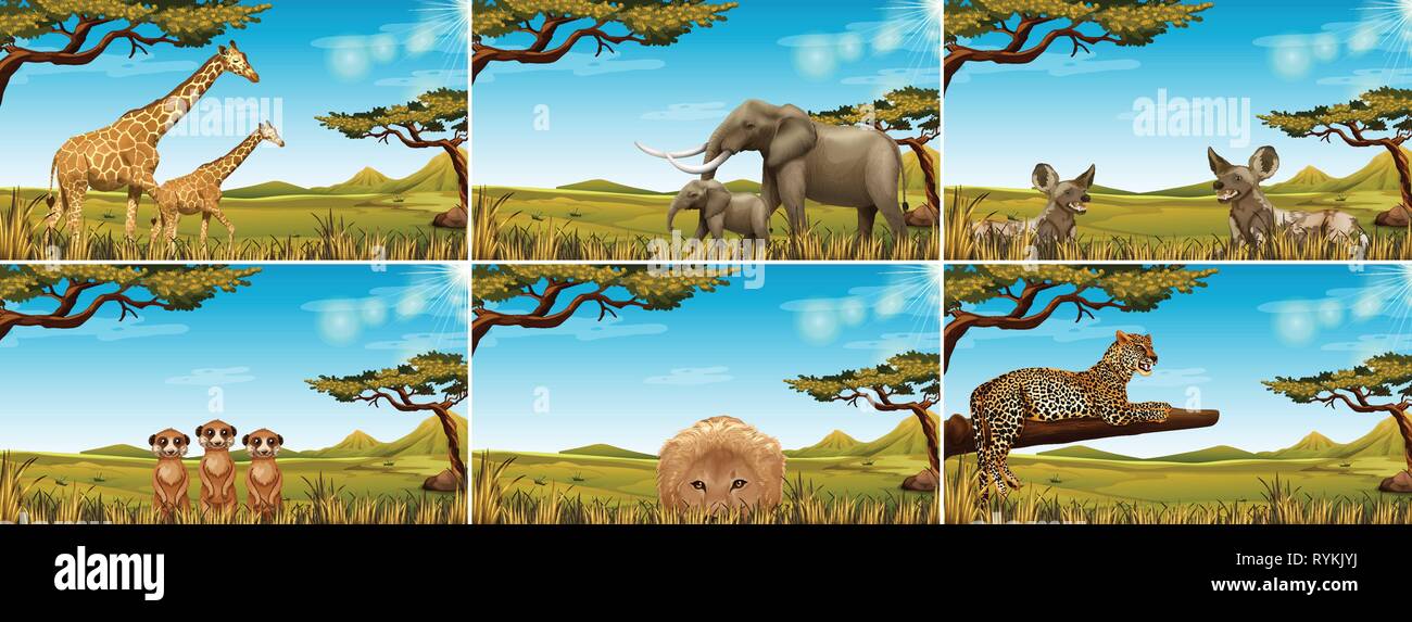Set of wildlife in savanna illustration Stock Vector Image & Art - Alamy