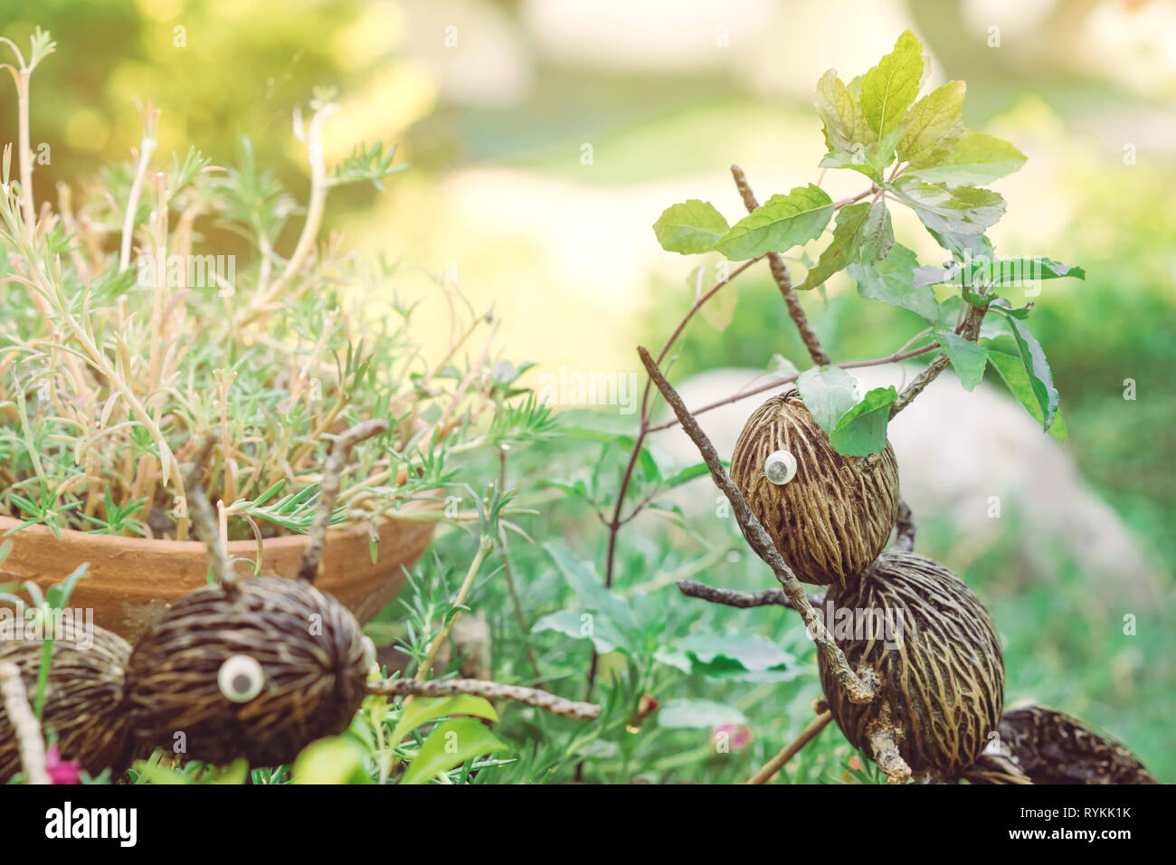 An artificial ant statue made from coconut, decorated on trees in the ...